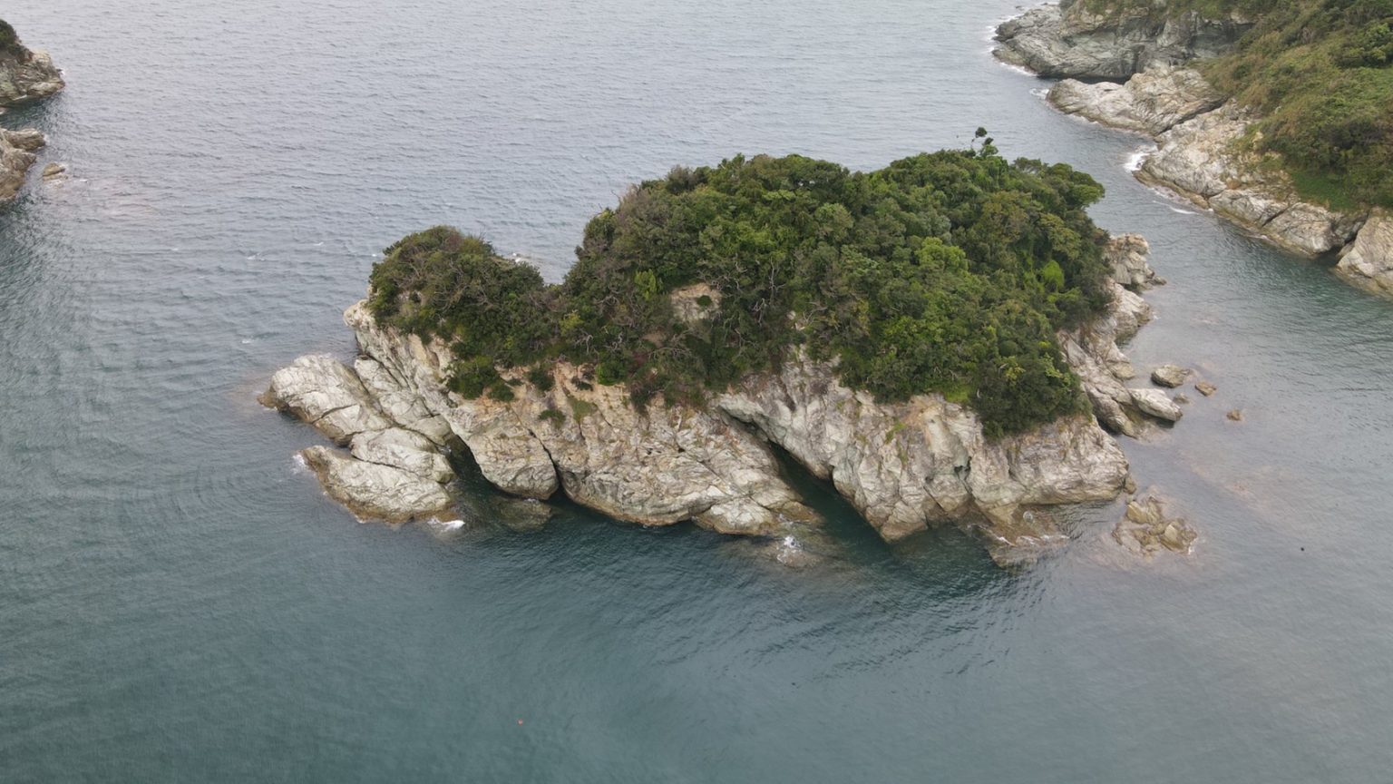【和歌山県和歌山市】『大島・双子島』の海釣りガイド（釣れる魚・渡し船）｜和歌山釣りwalker